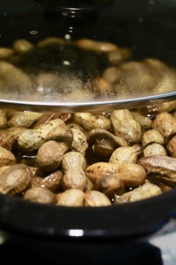 Easy Southern Boiled Peanuts Recipe | gritsandpinecones.com