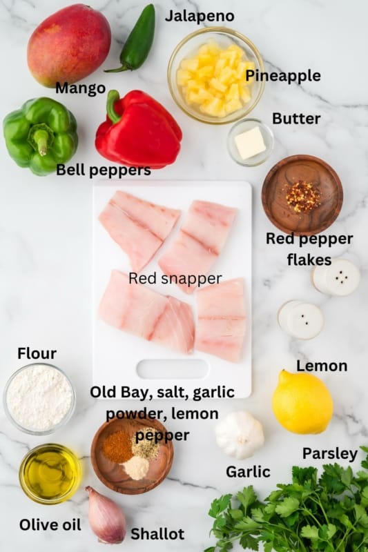 Easy Pan-Seared Red Snapper Recipe with Mango Salsa - Grits and Pinecones